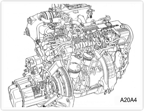 A20A3 + A4